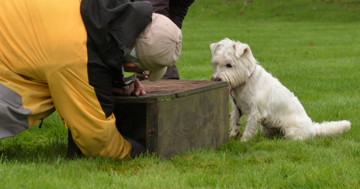 About Our Club — Puget Sound Earthdog Club